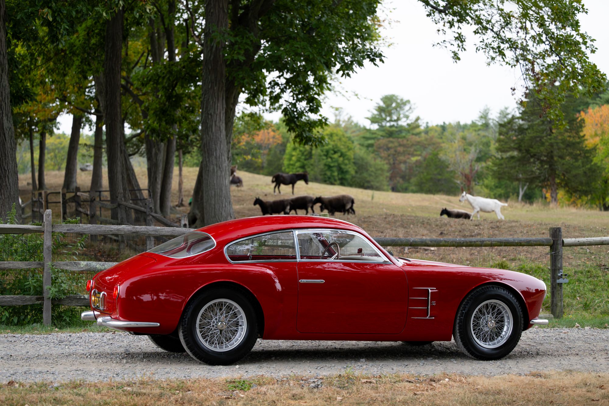 1956 Maserati A6G Zagato for Sale | FISKENS