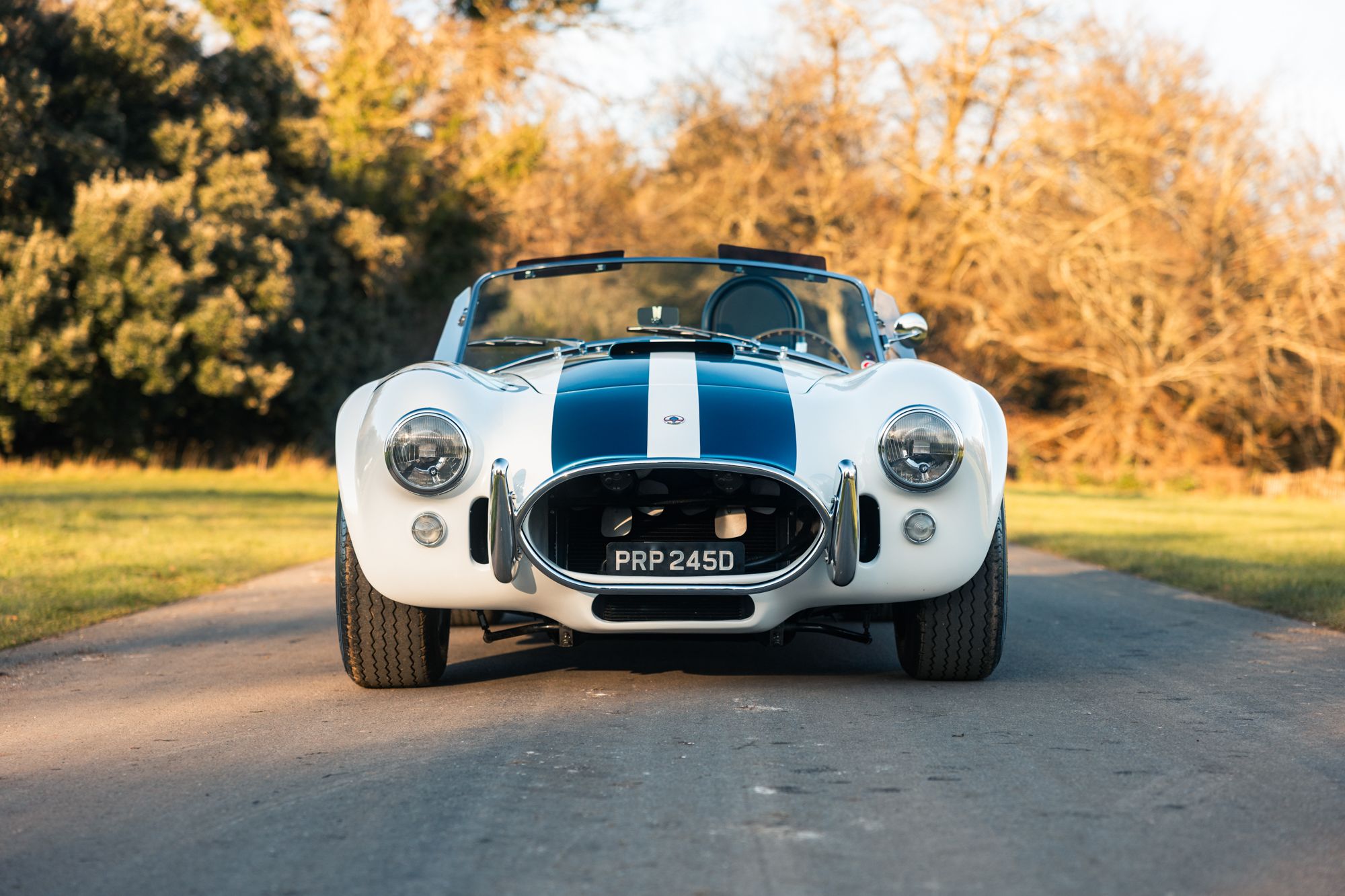 1966 AC 427 Cobra Shelby Previously Sold | FISKENS
